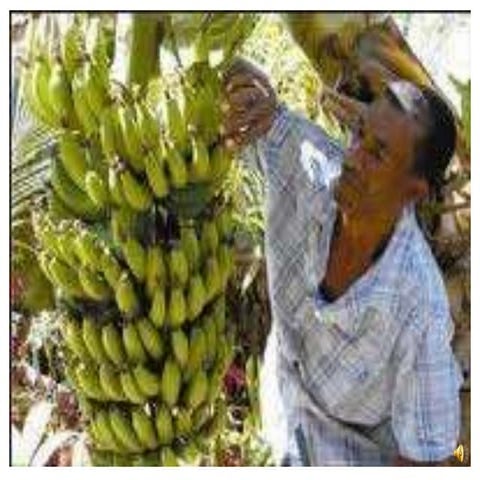 Fairtrade ppt | PPTX