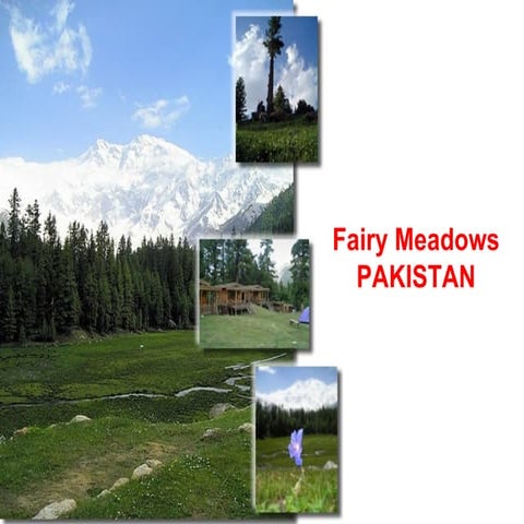 Fairy Meadows Pakistan | PPS