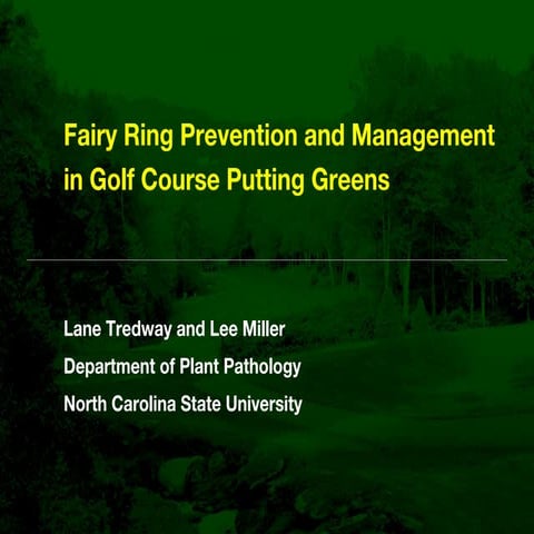 Fairy Ring Prevention and Management in Golf Course Putting Greens | KEY
