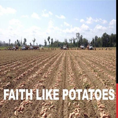 Faith like potatoes | PDF