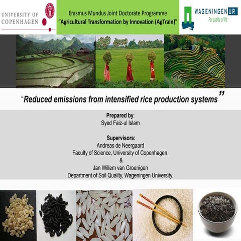 Reduced emissions from intensified rice production systems | PDF