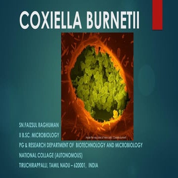 Faizsul's coxiella burnetii | PDF