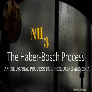 Haber-Bosch Process | PDF