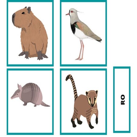 Animals_Flashcard_Memory_Games_ed(2).pdf