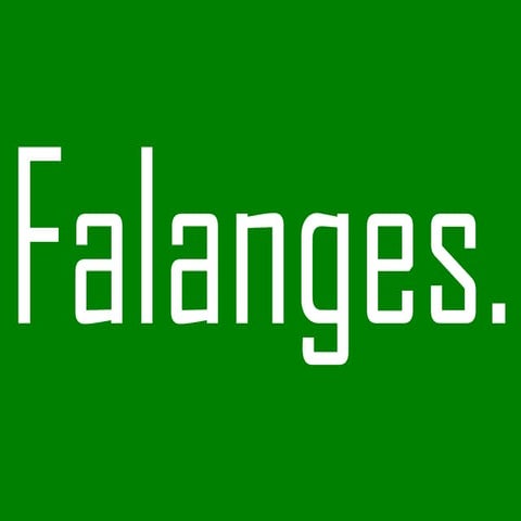 Falanges | PPTX