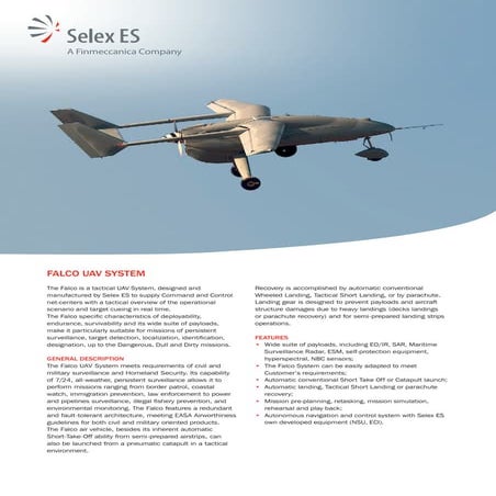 Falco Data Sheet | PDF