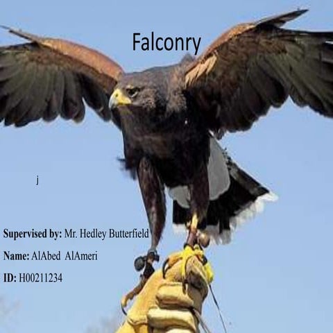 Falconry | PPTX