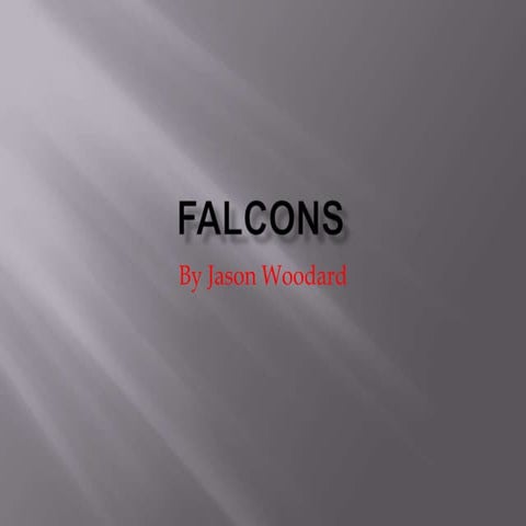 Falcons | PPTX