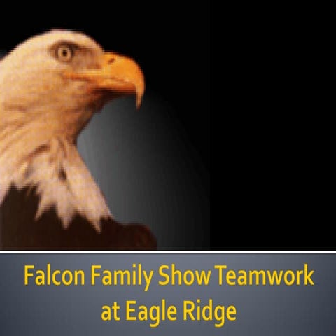 Falcons Teamwork | PDF | College Football | College Sports