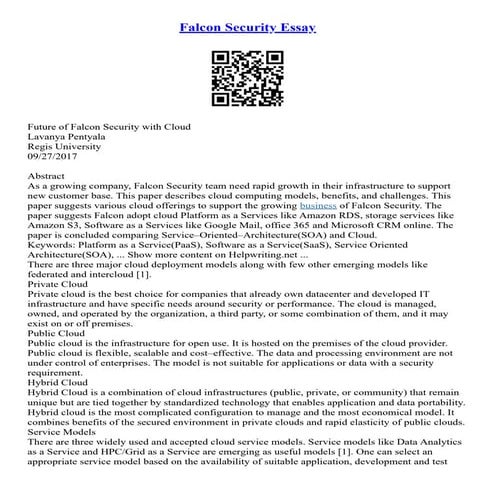 Falcon Security Essay | PDF