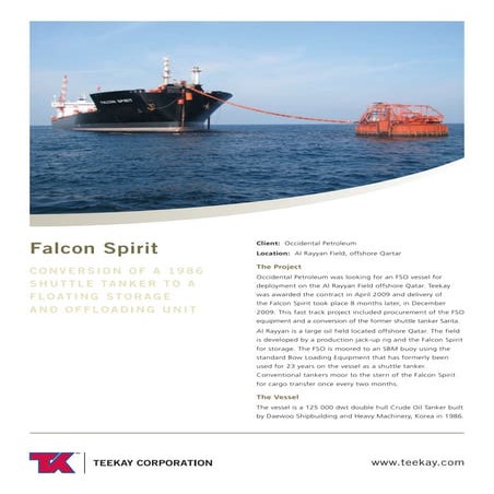 Falcon Spirit FSO | PDF