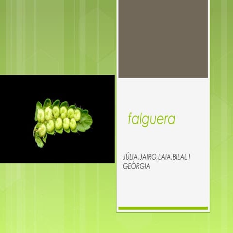 Falguera | PPT