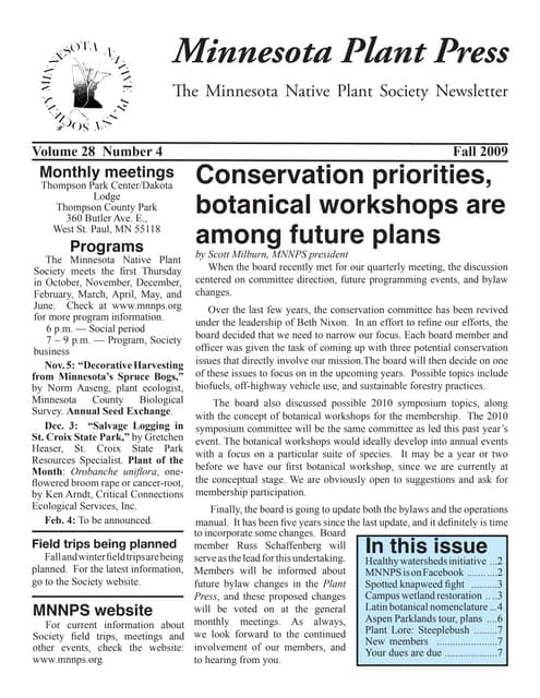 Presentation for maike | PPT