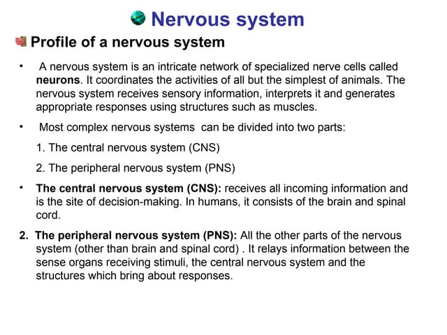 Control and coordination in humans | PDF