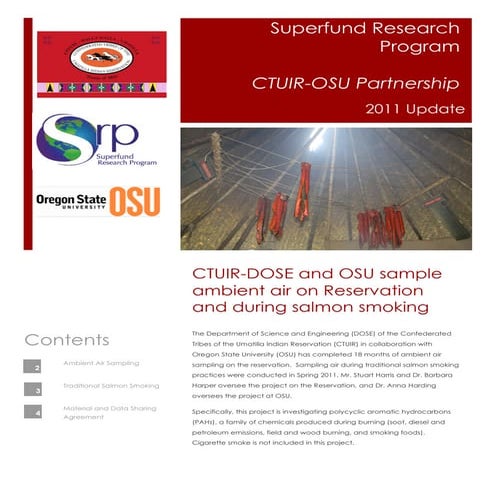 Review Paper Presentation | PPTX