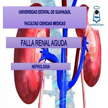 Falla Renal Aguda: Definición, Clasificación y Manejo Clínico | PPTX