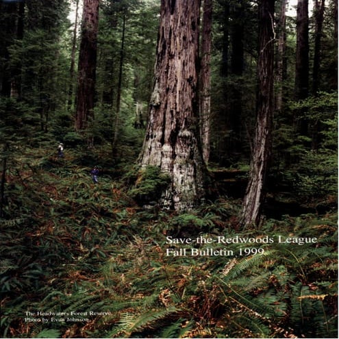 redwood trees three ancient wonders | PDF