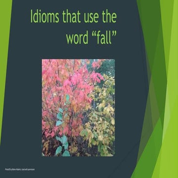 Fall idioms | PPTX