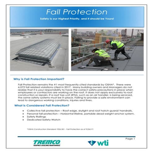Fall Protection Solutions | PDF