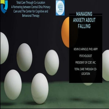 Falls Final Slides.pptx