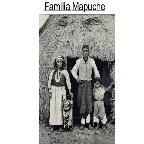 Familia mapuche, costumbres, vestimenta y alimentación | PPT