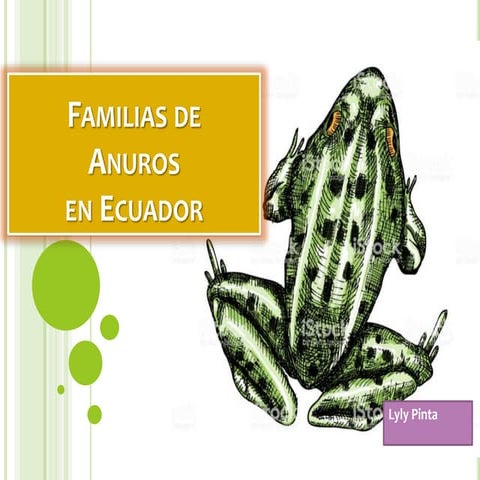 Familias de anuros del ecuador | PPTX
