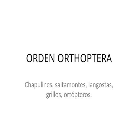 Comprehensive Overview of Orthoptera: Taxonomy, Characteristics, and ...