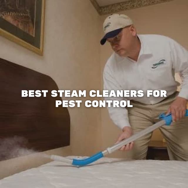 Best Steam Cleaners For Pest Control - PURE STEAM CLEANERS | PDF