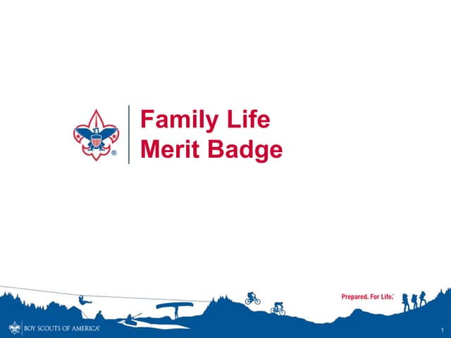 Safety merit badge troop 504 | PPT