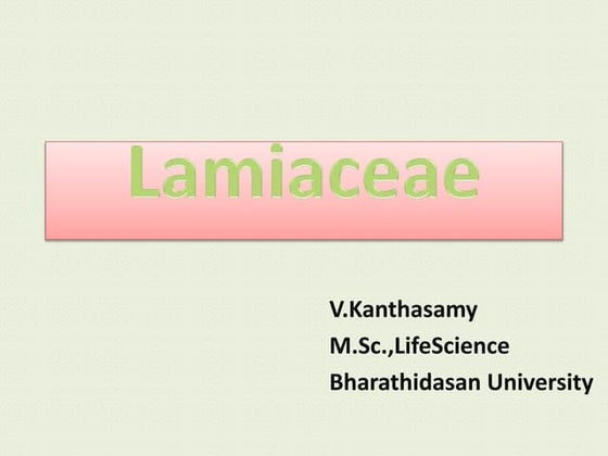 Venation and its types | PPT