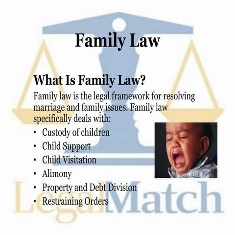 Family Law Basics | PPTX