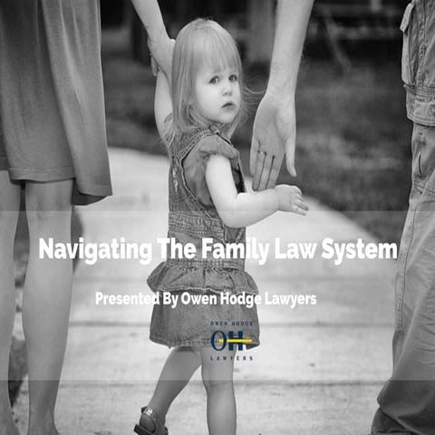 The Basics of Family Law | PDF