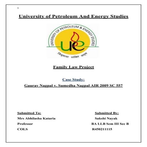 Family law project | DOCX