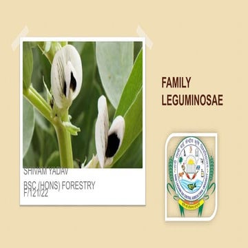 family_leguminosae_ppt.pptx | Gardening | Home & Garden