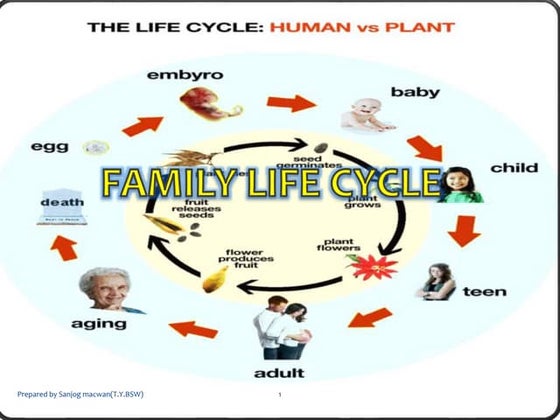 The Family Life Cycle | PPTX | Parenting Teens | Parenting
