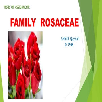 Floral Formula - Introduction | PPTX