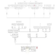 Family tree delalic | PDF