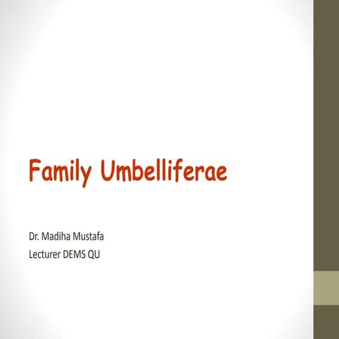 Family umbelliferae | PPTX