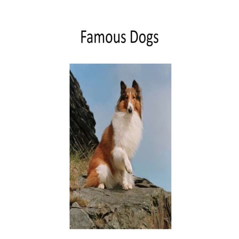 Famous Dogs | PPTX