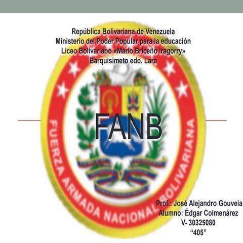 FANB MBI | PPTX