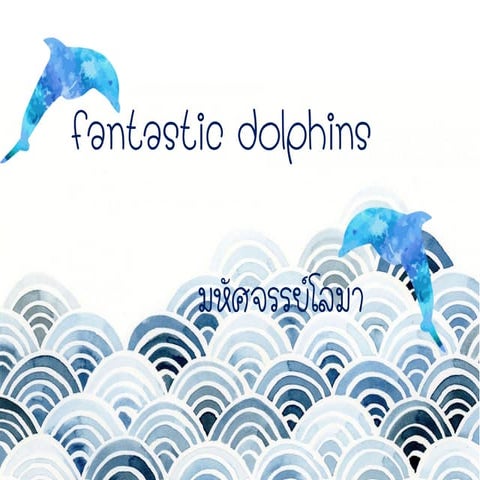 Fantastic dolphins | PPT