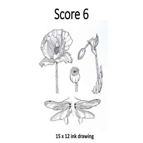 Fantasy score 6 | PPT