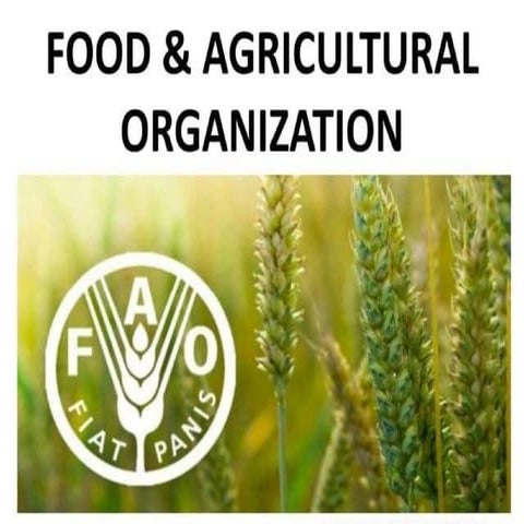 FAO - formation, regional offices, history | PPTX