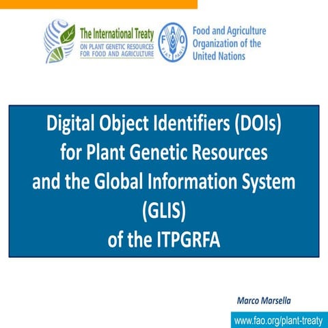 FAO DOI presentation by Marco Marsella | PDF