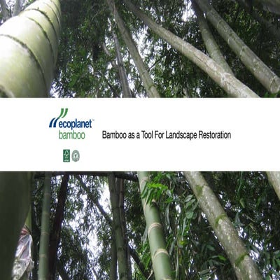 EcoPlanet Bamboo - Forest Landscape Restoration | PDF