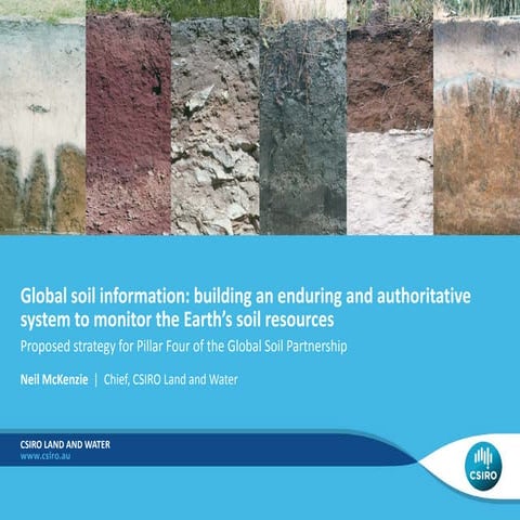 Global soil information: building an enduring and authoritative system ...