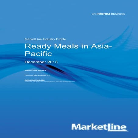 Project Report on Instant Noodles Manufacturing Plant | PPTX