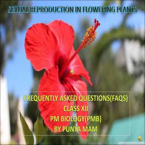 Sexual Reproduction In Flowering Plants | PPTX