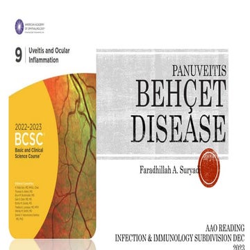 Panuveitis BEHCET DISEASE AAO Reading.pptx