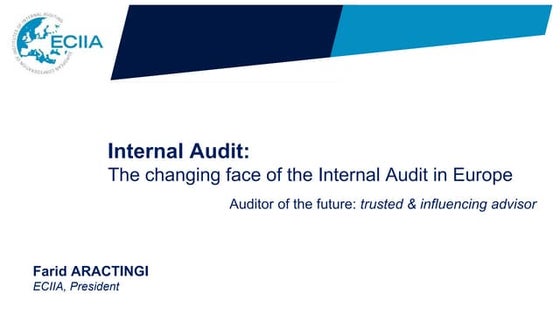 Jenitha John on Auditing, Growth, and Governance | PDF